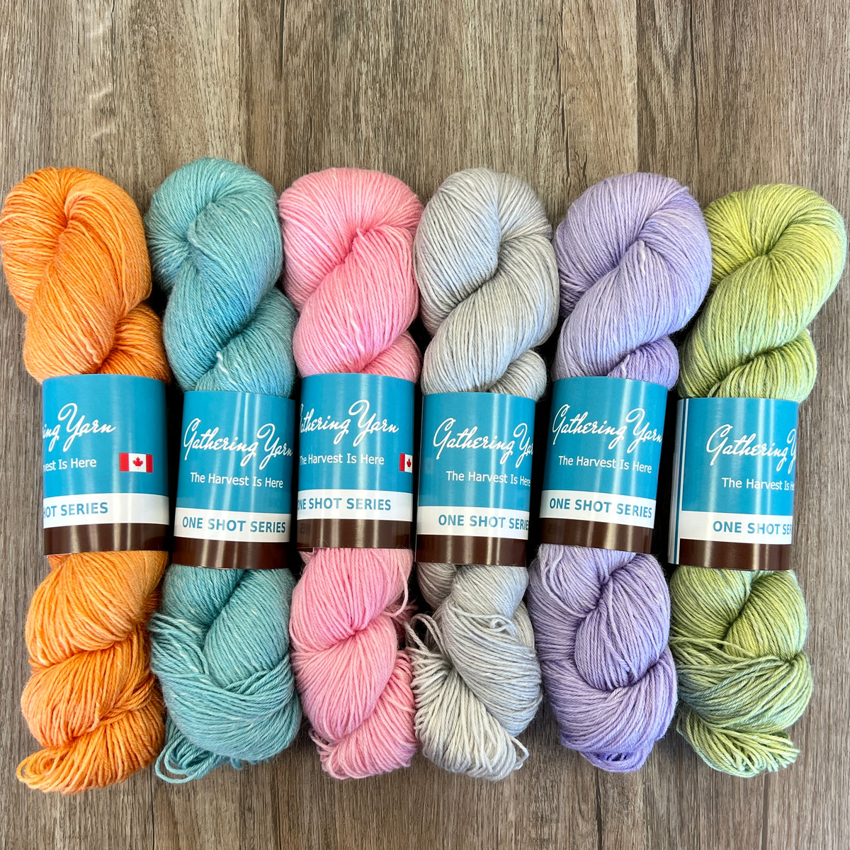 Gathering Yarn Summertime Painted Sock – The Yak Yarnery
